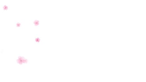 Animated Falling Flowers