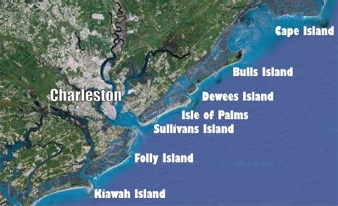 Sharp Tern The Sands Of Time At Cape Romain