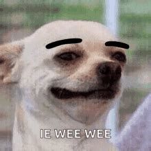 Wee Wee S Tenor