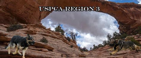 Uspca Region 3 A Professional Law Enforcement Canine Association