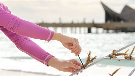 Sustainability Is The Experience