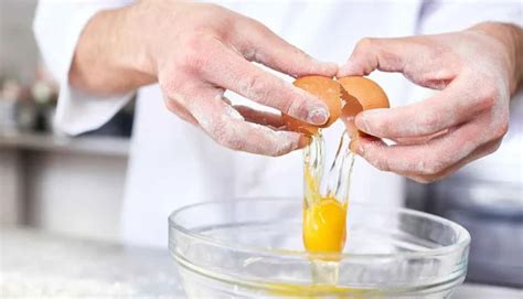 Apakah Mengonsumsi Telur Muda Ayam Berbahaya Indofarm