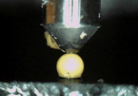 Dynamic Process Of A Microcapsule Under The Rupturing Force Measurement Download Scientific