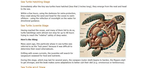 Private Sea Turtle Body Parts And Functions With Very Few