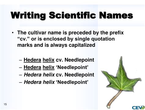 How To Write Scientific Names In Paper