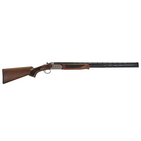 Pointer Acrius Youth 410 Gauge 26 Break Open Shotgun Shiner Tactical