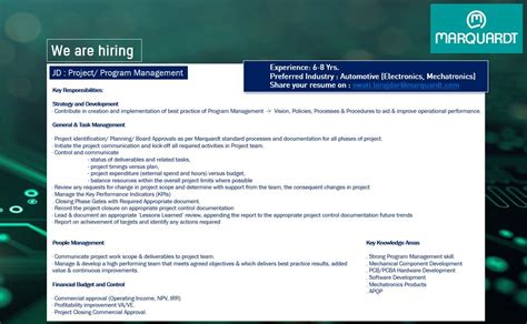 Programmanagement Programmanager Projectmanager Automotiveindustry