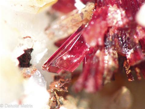 E Mineral Specimens For Sale