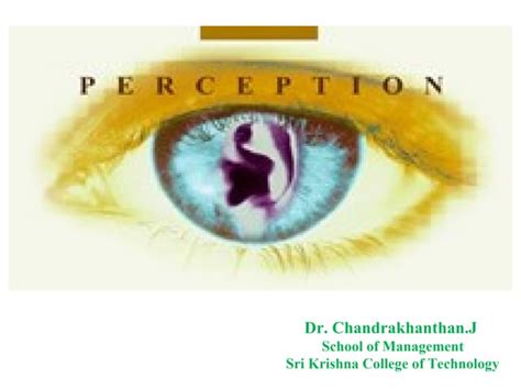 Perception Ppt