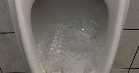 To Pee Or Not To Pee Imgur