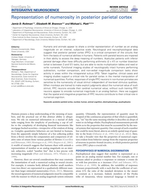 Pdf Representation Of Numerical Magnitude In Posterior Parietal Cortex