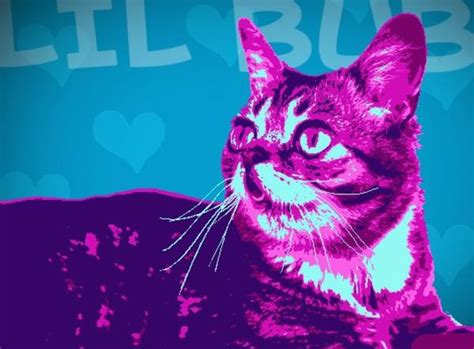 [image 377836] Lil Bub Know Your Meme