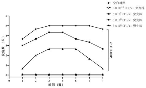 一种副鸡禽杆菌弱毒株及其构建方法与应用