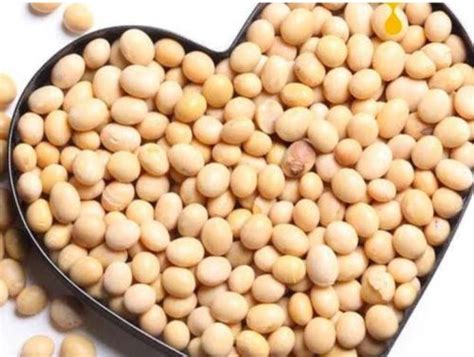 Organic Matar Daane 7 Mm Packaging Type Plastic Bag At Rs 40 In