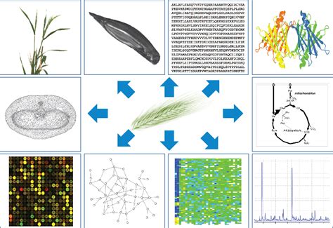 Figure 1 From Ieee Computer Graphics And Applications 69 Why Integrate Infovis And Scivis An