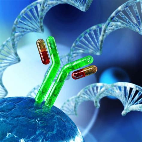 Immunoglobuliny Diagnostyka Badanie Przeciwciał Igg Iga Igm