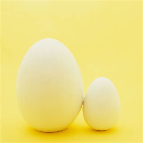 One Testicle Bigger Than The Other Causes And 55 Off