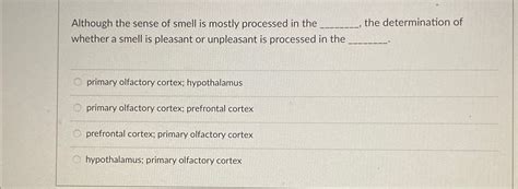 Solved Although The Sense Of Smell Is Mostly Processed In