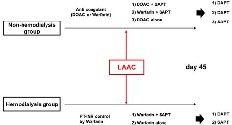 Post Implant Drug Regimen Doac Direct Oral Anticoagulation Sapt