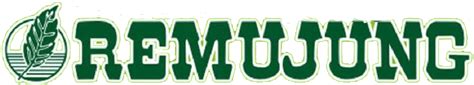 Pt Remujung Wiratama Pilihan Tepat Kebutuhan Rumah Tangga Anda