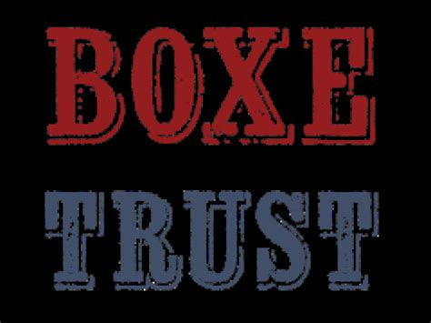 Boxe And Trust Accompagnement Social Et Sportif