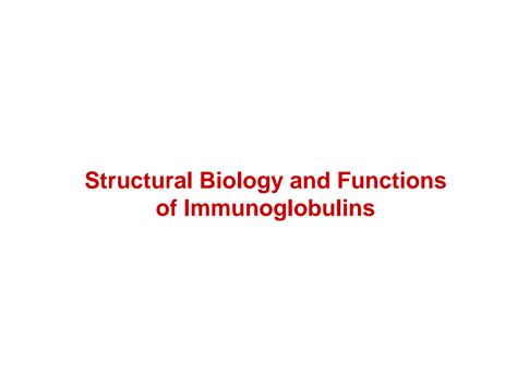 Solution Antibody Structure Function Studypool
