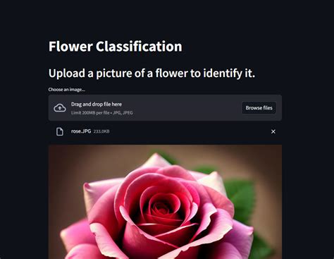 Github Nimantha 10flower Classification Streamlit