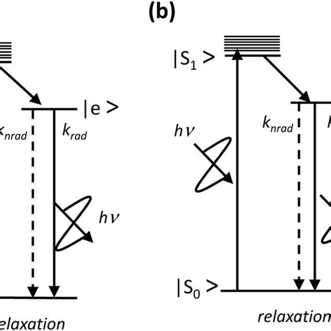 A Absorption Spectra Of Ptcdi C 8 Qt And Ptcdi C 8 Qt Thin Films