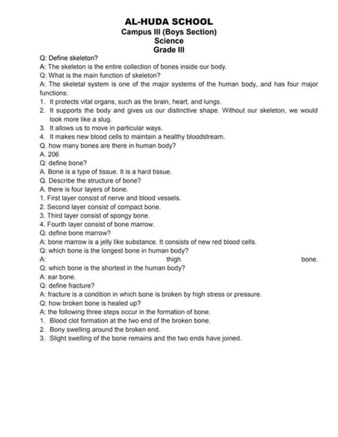 Grade 3rd Bones And Skeleton Docx