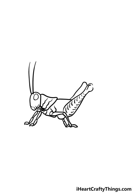 Easy Grasshopper Drawing