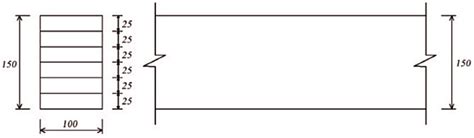 Specimen Section Mm Download Scientific Diagram