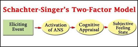 Theories Of Emotions Exploring The Nature And Function Psychology