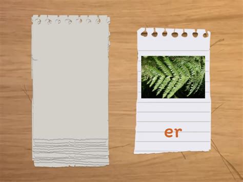 Initialit Year 2 Term 3 Lesson 49 Vowel Trigraphs Air Ere Ear Eer