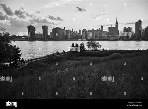Hunters Point South Park Model Of Urban Ecology And A Prototype For