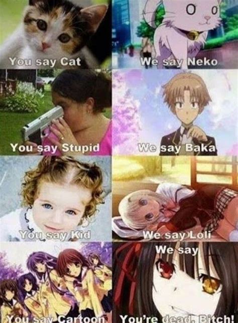 Funny Neko Memes