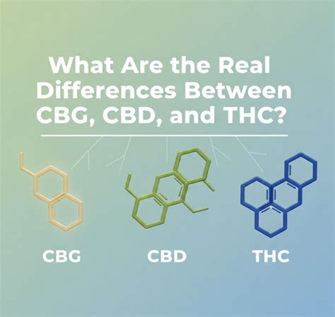 Cbg Vs Cbd Vs Thc Understanding The Key Differences