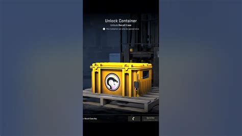 Cs2 Opening The Chest Csgo Gamers Gaming Games Fortnite Cs Cs2fun Youtube