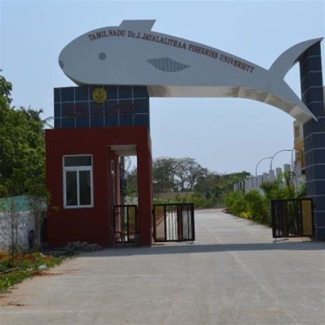 Admission Information Mba Courses Offered At Tamil Nadu Dr J