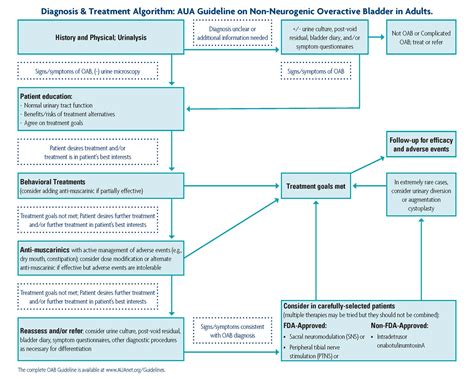 Sufu Winter Meeting 2013 Overview Of Aua Sufu Overactive Bladder Guidelines Session Highlights