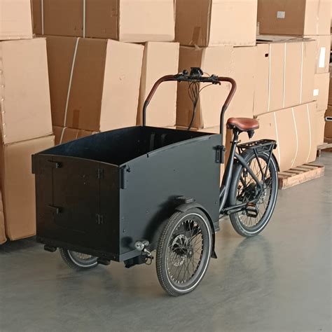 Efficient Brushless Motor Electric Cargo Bike For Smooth Rides
