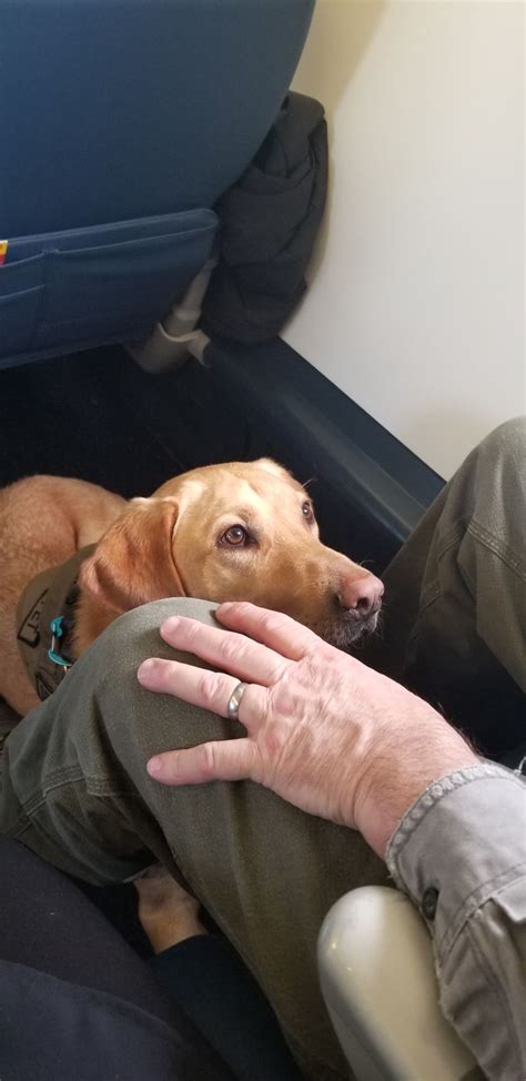 Nora Mcdougall Collins On Linkedin Thanks Delta Airlines My Husband A Disabled Vet Has A