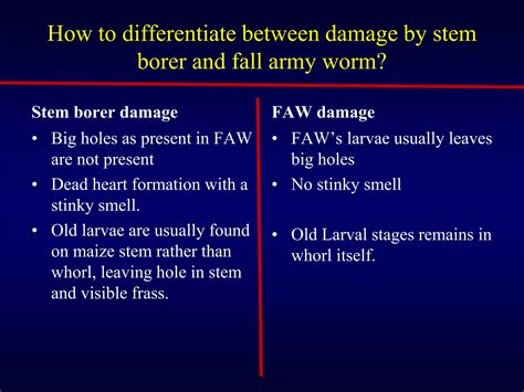 Fall Army Worm Spodoptera Frugiperda Ppt
