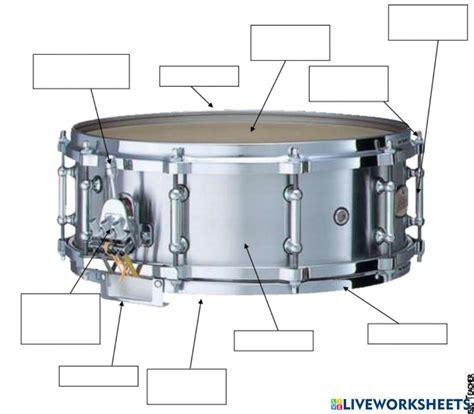 Parts Of The Snare Drum Online Exercise For Live Worksheets