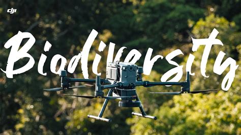 Henrique De Freitas On Linkedin Cool