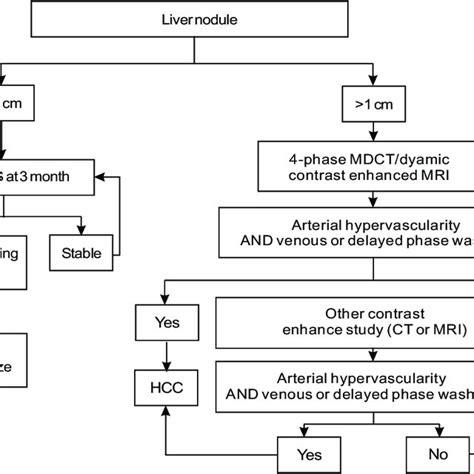 Diagnostic Algorithm For Suspected Hepatocellular Carcinoma Hcc Of