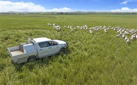 With Few Electric Ute Options Farmers Fear Govts Ev Mandate
