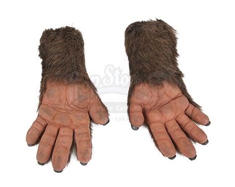 Jumanji 1995 Peters Bradley Pierce Monkey Costume Components