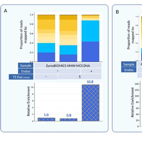 Methylation Sensitive Endonucleases And Various Size Selection