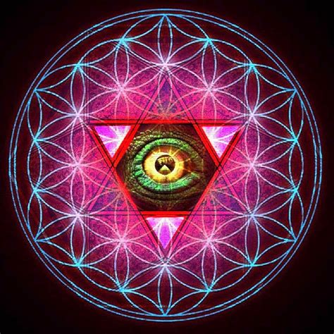 Matthew Widmann Video Producer Mlw Productions Linkedin