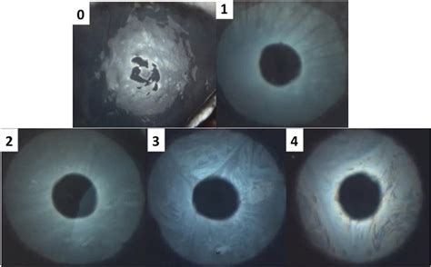 Grading Of Interferometric Patterns In Rabbits Grade 0 Corresponds To